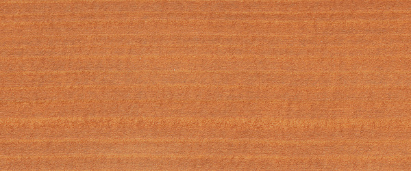 802 Larice uniformante | Amonn Color